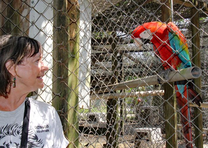 Octagon Wildlife Sanctuary appreciation day | News Archives | yoursun.com