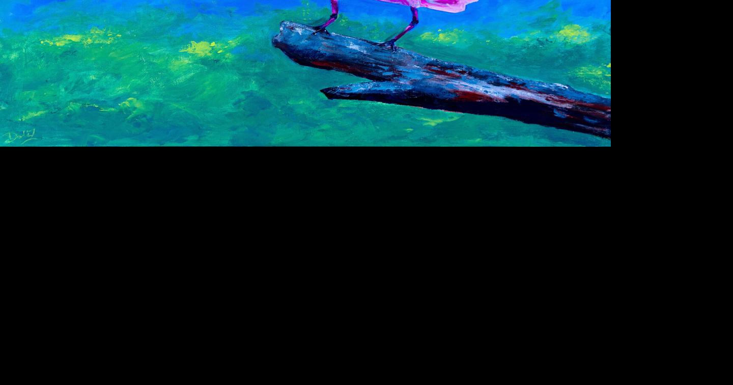 Dodez spoonbill | | yoursun.com