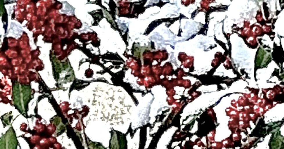 This Christmas, where do you see Christ? | Religion | yoursun.com