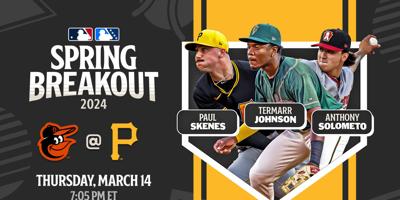 SPRING BREAKOUT: YourSun.com website hosts Spring Training games | Port ...
