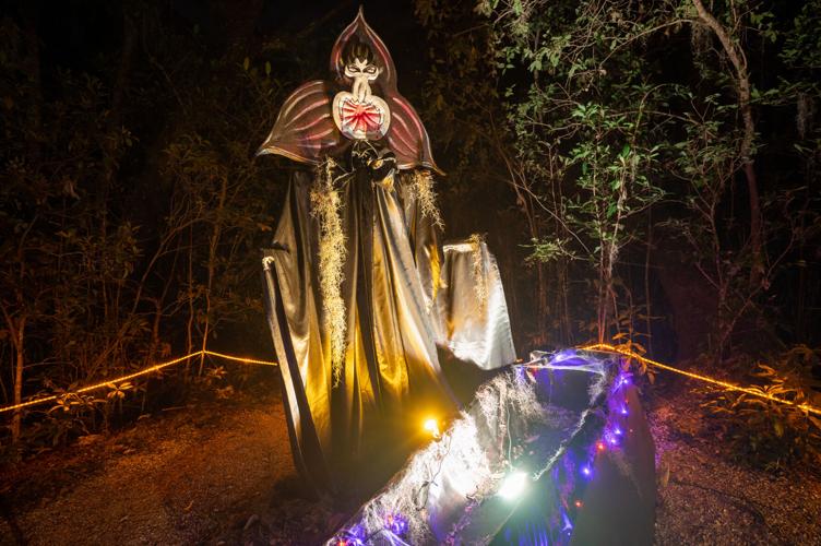 Haunted fun set for Selby Garden's Spooky Point | Go! | yoursun.com