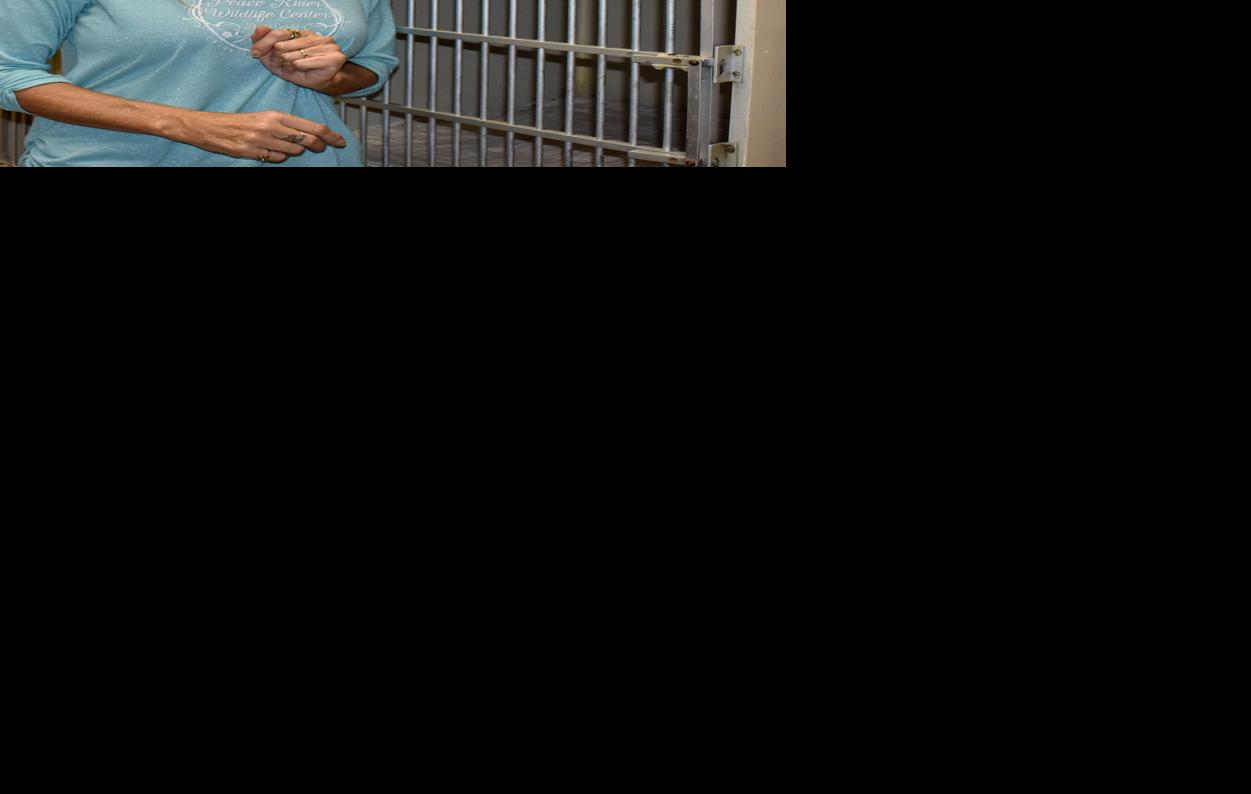 Charlotte County's tourism 'rock stars' honored at ceremony | Port ...