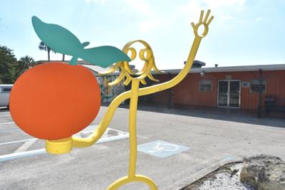 Are homes going to replace Nokomis Groves? | The Gondolier | yoursun.com