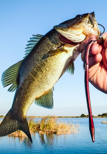 Different times, but we can still fish | Waterline | yoursun.com