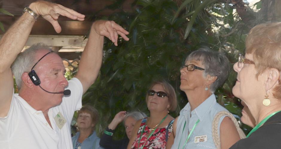 Lemon Bay Garden Club celebrates 60th anniversary at Selby Gardens ...