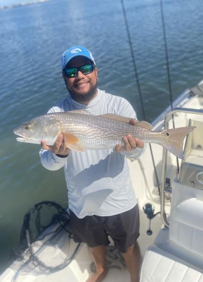 WATERLINE: WEEKLY PHOTOS - A Placida red | Waterline | yoursun.com