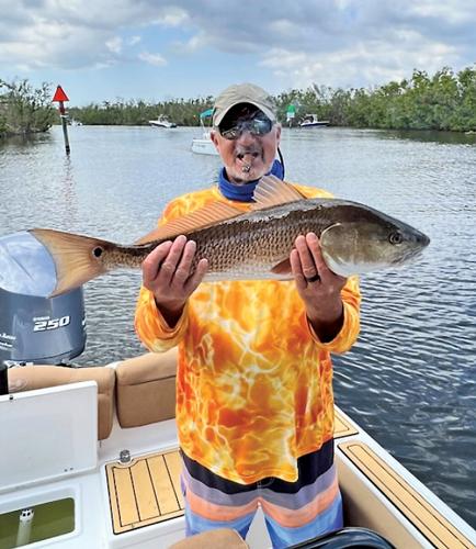 Reader photos | Waterline | yoursun.com