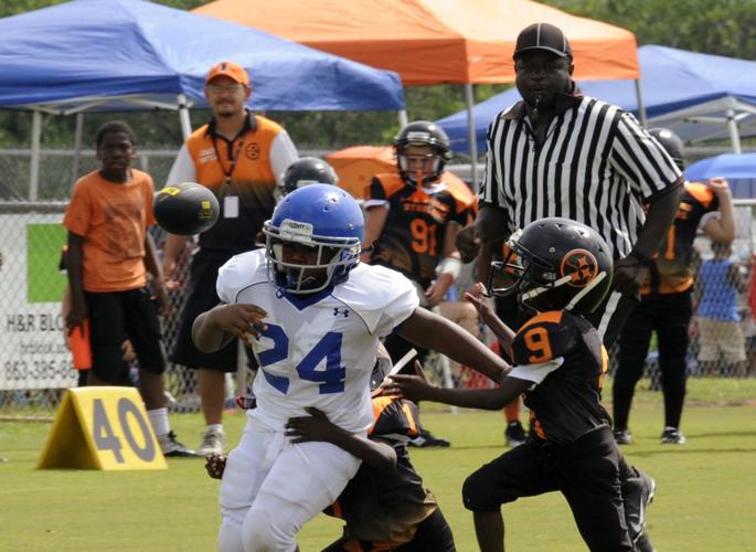 Sebring Mighty Mite, flag teams win openers | Newsarchives | yoursun.com