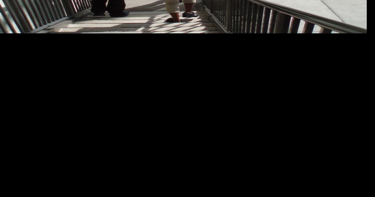 Bok Academy opens doors for state visitors | Newsarchives | yoursun.com