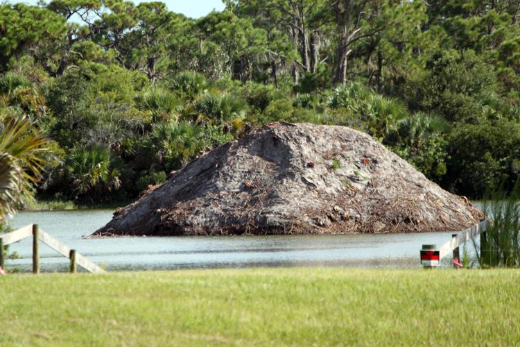 Death of ‘Rookery Island’ a mystery | News Archives | yoursun.com