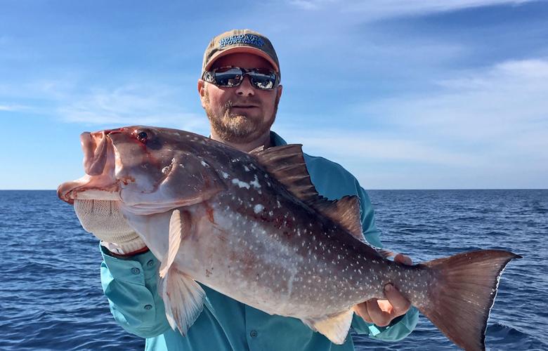 Reader photos | Waterline | yoursun.com