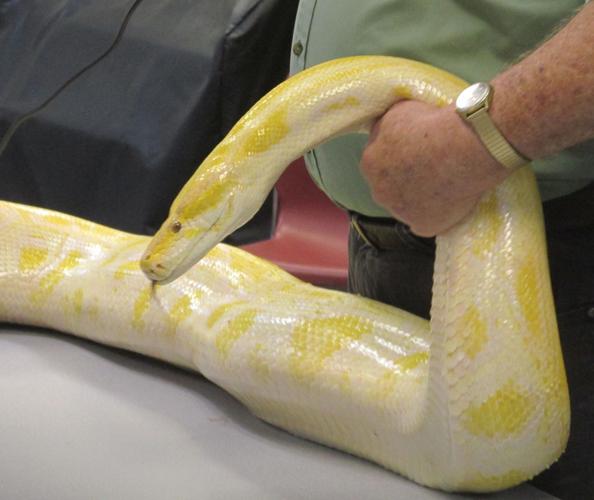 Storms’ reptiles | Newsarchives | yoursun.com