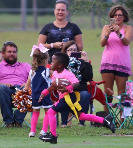 Huskies go pink to fight cancer | The Daily Sun | yoursun.com