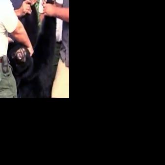 Slack Tides | Waterline | yoursun.com