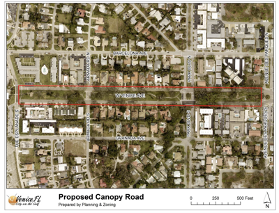 Three blocks of West Venice Avenue named a canopy road | News | yoursun.com