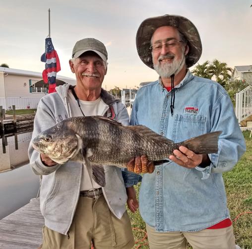 Reader photos | Waterline | yoursun.com