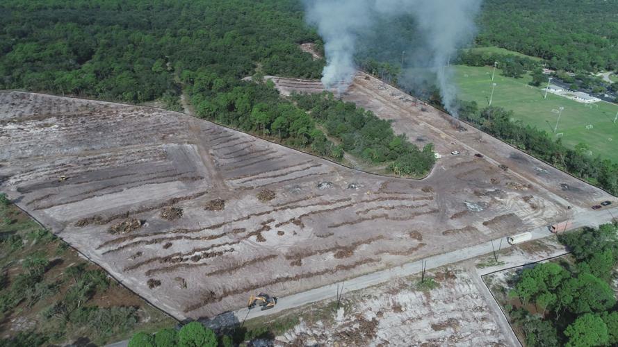 New West Port owner seeks bonds for financing infrastructure | Port ...