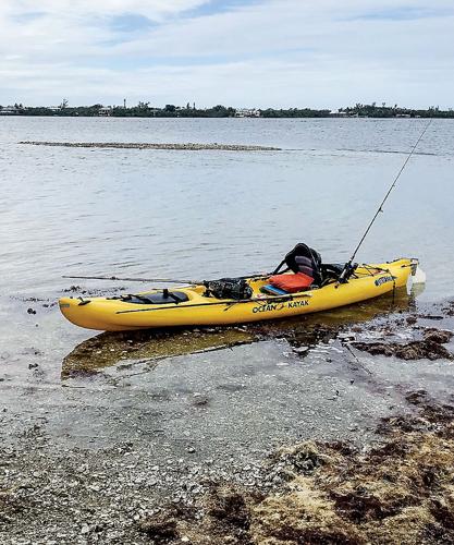 Probabilistic angling | Waterline | yoursun.com