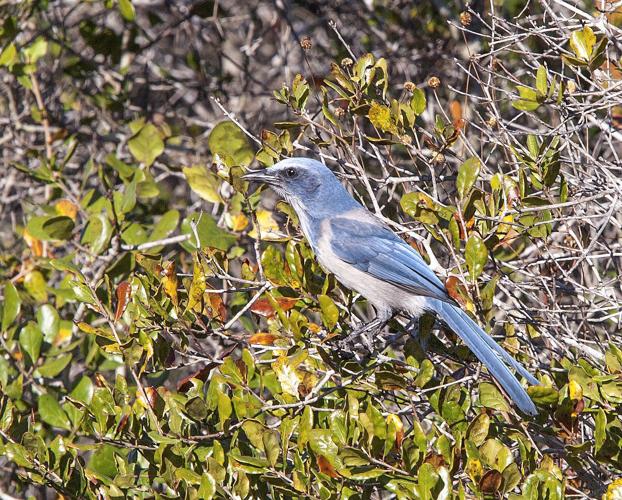 Check out Prairie/Shell Creek Preserve | Waterline | yoursun.com
