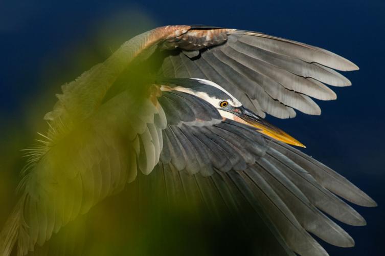Jerry Waters: Teaching and photography, the best of both worlds | News ...