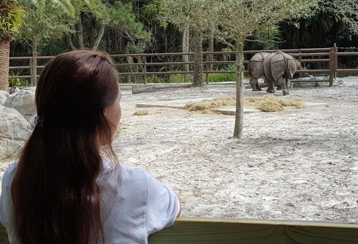 New Concepts by Visions visits Central Florida Zoo | Newsarchives ...