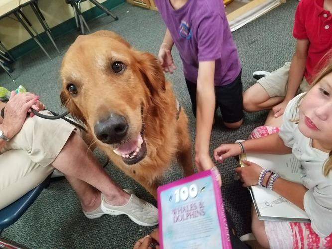 Dogs read to children as part of reading program | The Daily Sun ...