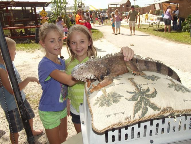 Pumpkin Festival draws young and old | News Archives | yoursun.com
