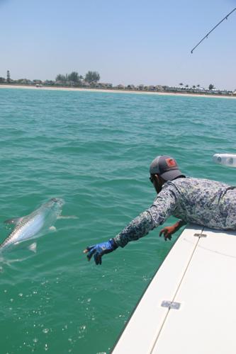 The tarpon experience | Waterline | yoursun.com