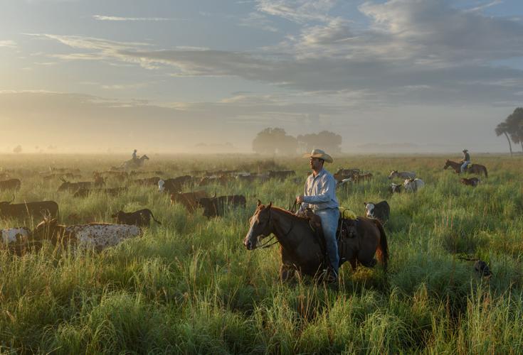 Archbold buys Buck Island Ranch | News | yoursun.com
