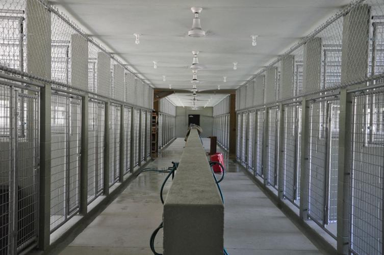 New kennels take Humane Society dogs from patchwork pens to lap of ...