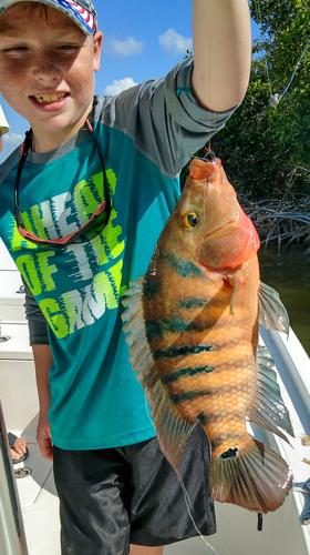 What's that fish? | Waterline | yoursun.com