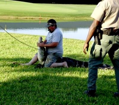 Gator attacks man on golf course | Newsarchives | yoursun.com