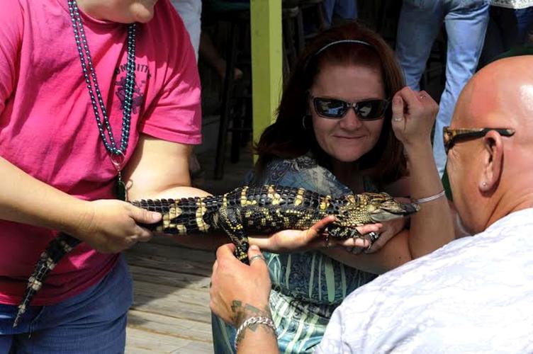 More Gator Crawl photos | Newsarchives | yoursun.com