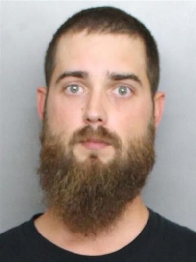 Port Charlotte man charged with 20 counts of child pornography ...