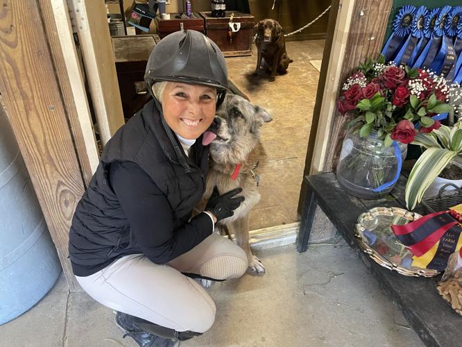 Horsing around at Fox Lea Farm | News | yoursun.com