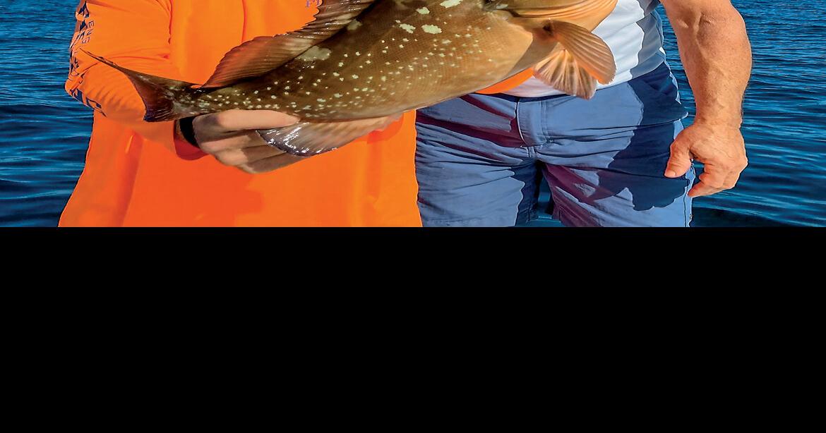 Reader photos | Waterline | yoursun.com