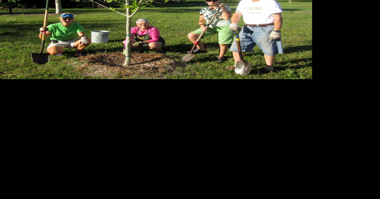 Arbor Day honored with tree planting | News Archives | yoursun.com