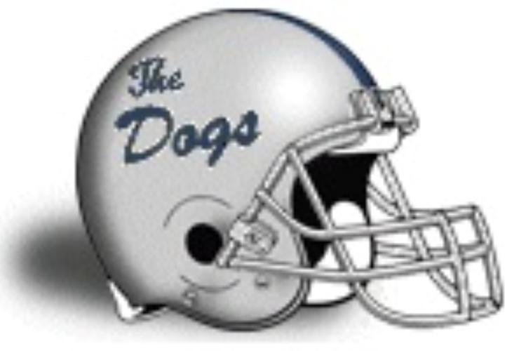 Bulldogs’ football team gets new top dog | News Archives | yoursun.com