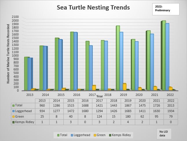 Turtle nesting good news for 2022 | News | yoursun.com