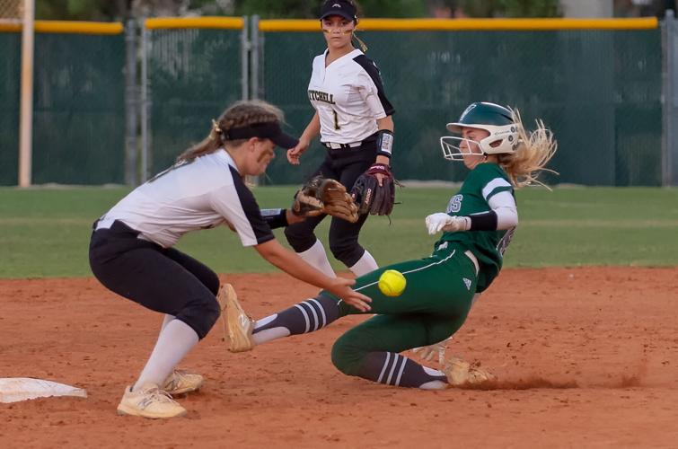 Mitchell shuts out Venice, eliminates Indians | Sports | yoursun.com