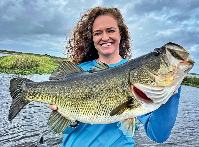 Reader photos | Waterline | yoursun.com