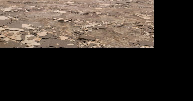 Venice Community Center being renovated from top to bottom | News ...