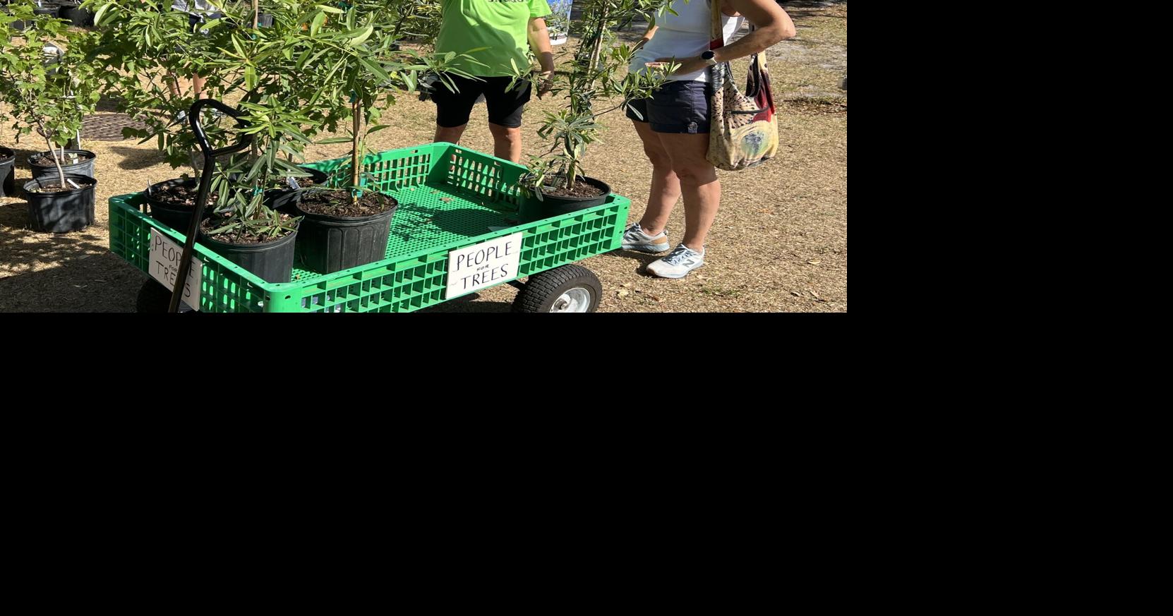 People grab trees at the People for Trees fair | News | yoursun.com