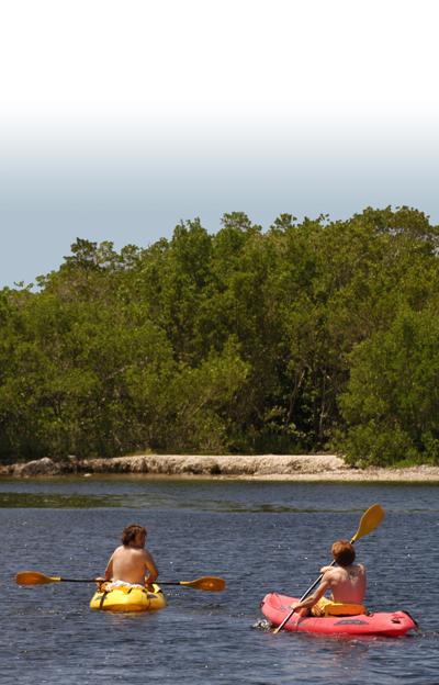 Getting started paddling | Waterline | yoursun.com