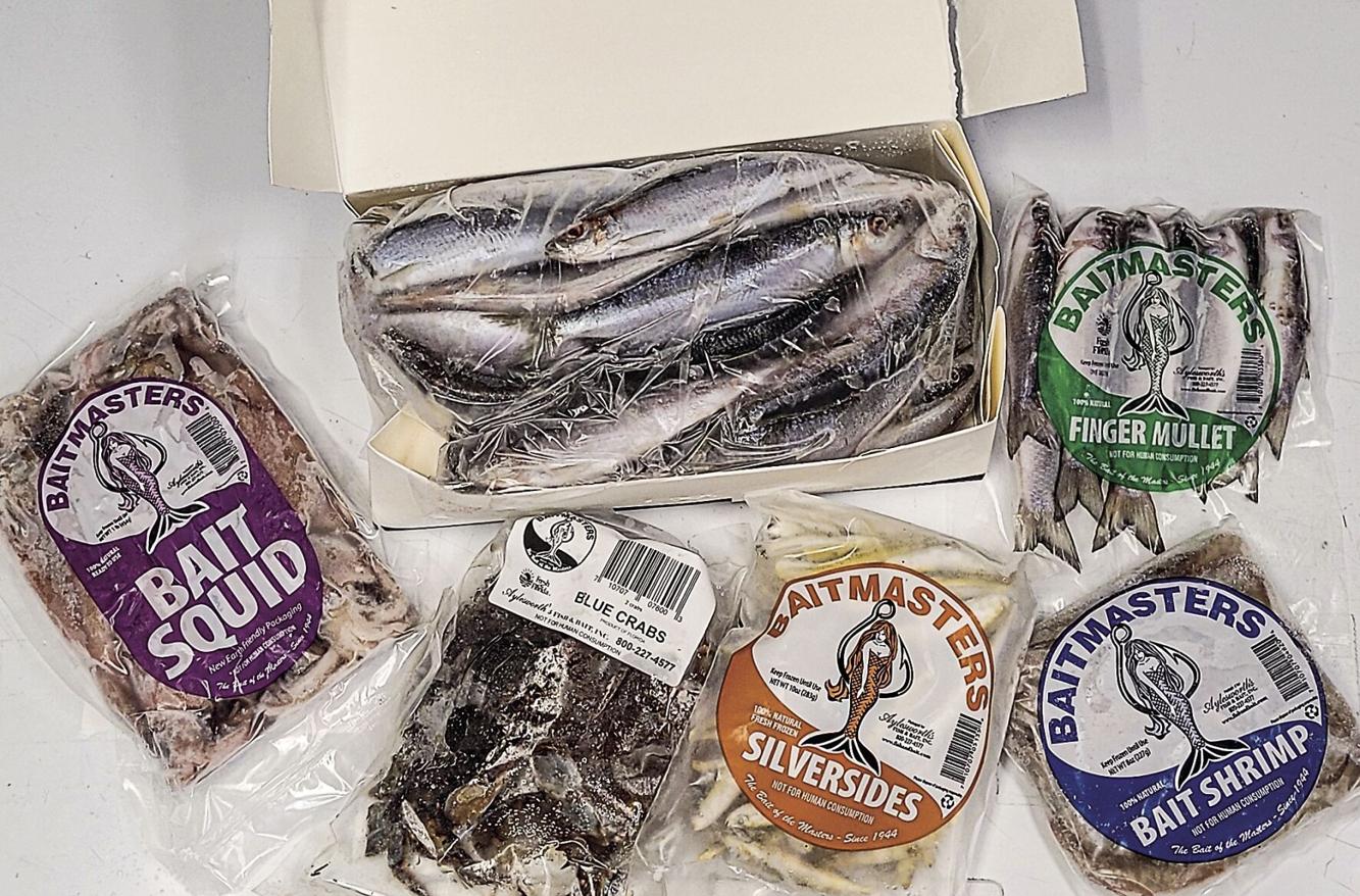 Fishing with frozen bait | Waterline | yoursun.com