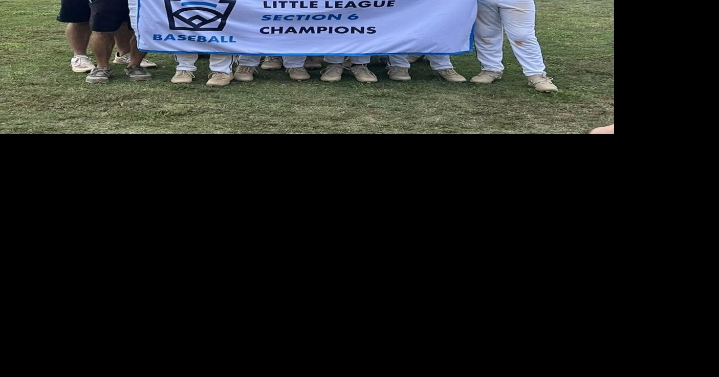 LITTLE LEAGUE: Venice 12U All-Stars win Sectional 6 championship ...