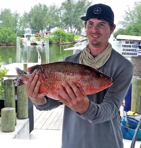 Fish of many species can be found in Englewood waters | News | yoursun.com