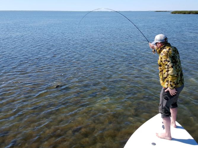 The really shallow stuff | Waterline | yoursun.com