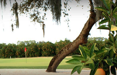 Pinecrest Golf Club gains notoriety | Sebring | yoursun.com