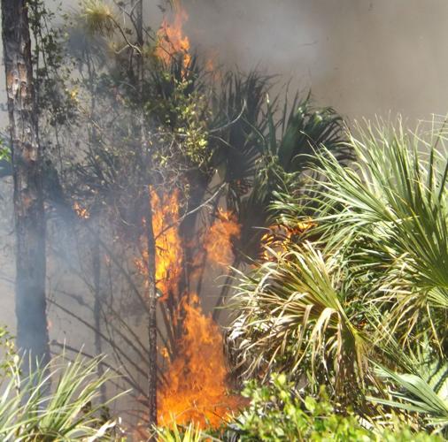 Four-acre Englewood brush fire contained | News | yoursun.com